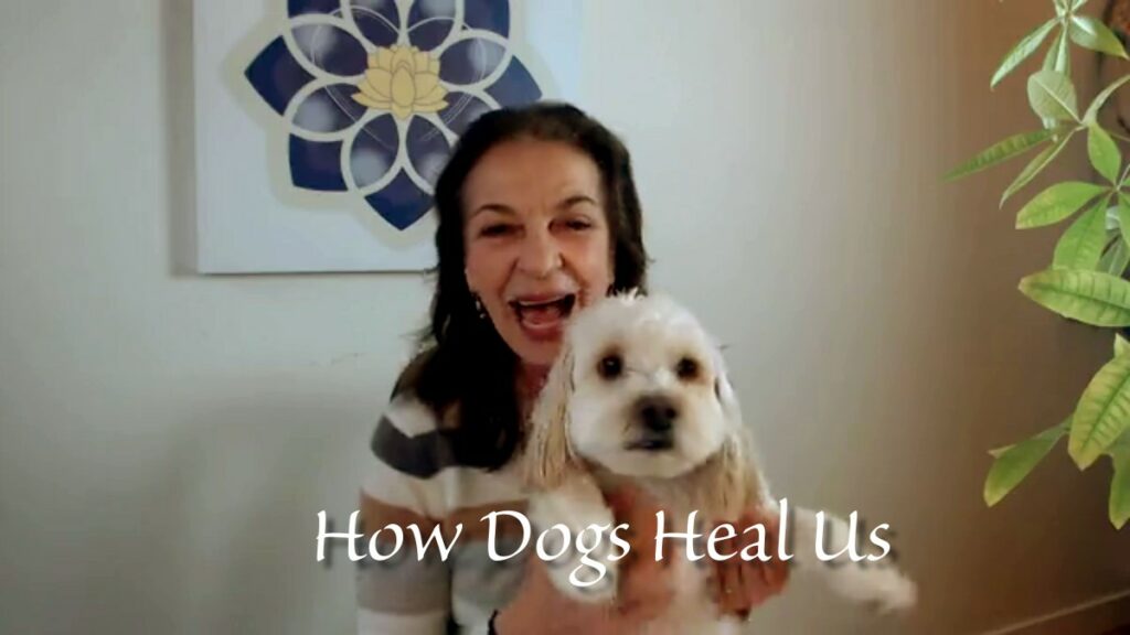 How Dogs Heal Us - Heal Talk Tuesdays with Liza